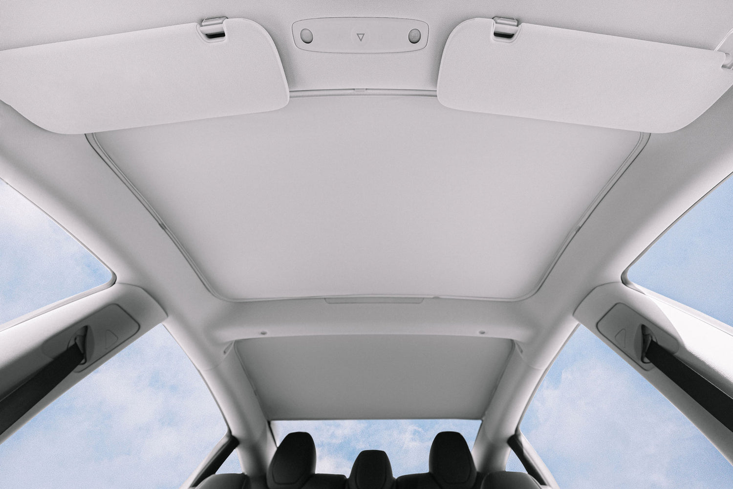 Model 3 Roof Sunshades – VION